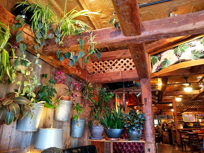 It's like Jumanji met a coffee shop and decided to settle down. These plants aren't just decor. They're the cafe's green-leafed army of oxygen producers.