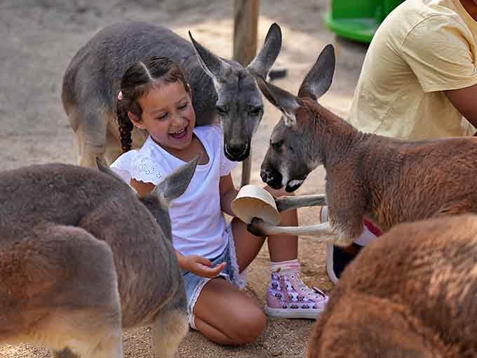 The joy on this child's face says it all &ndash; nothing beats the magic of a close encounter with creatures you've only seen in books and cartoons.