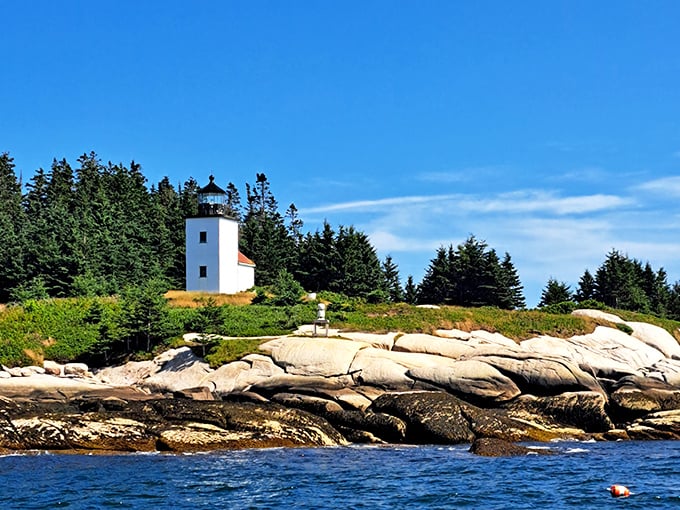 The Isle au Haut Lighthouse stands guard on rocky shores, a maritime sentinel that has guided generations of sailors safely home.