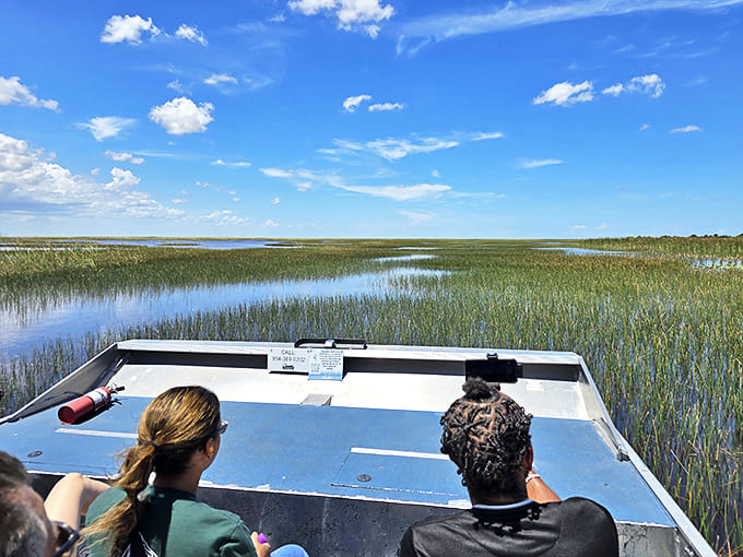 Cruising through nature's hallways, where the walls are made of sawgrass and the ceiling is endless Florida blue.