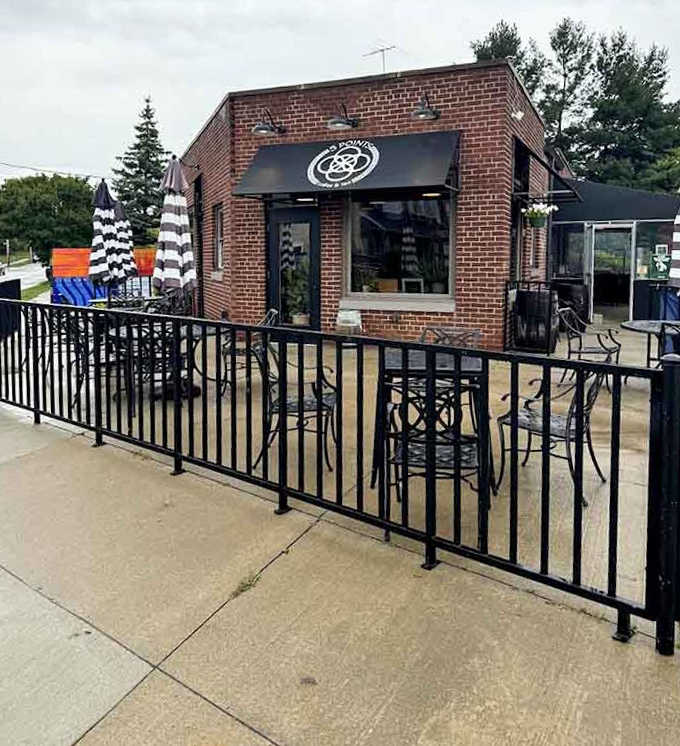 Fall transforms the patio into a harvest celebration, with cornstalks and pumpkins creating the perfect backdrop for sipping spiced autumn specials.