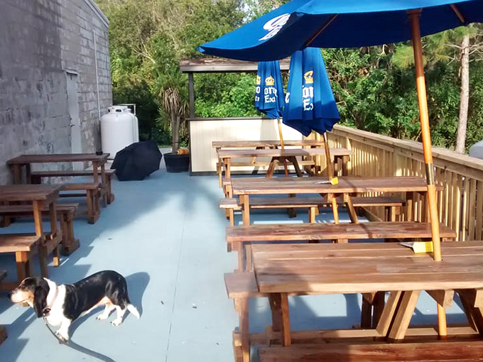 Alfresco dining with a side of Florida sunshine. It's like a beach picnic, minus the sand in your shorts.