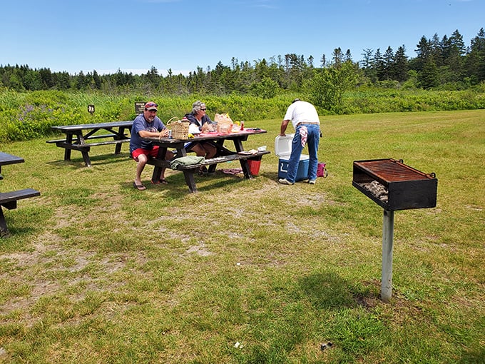 Lunchtime with a view: picnickers enjoy Maine's perfect combination of fresh air, good company, and the promise of afternoon adventures.