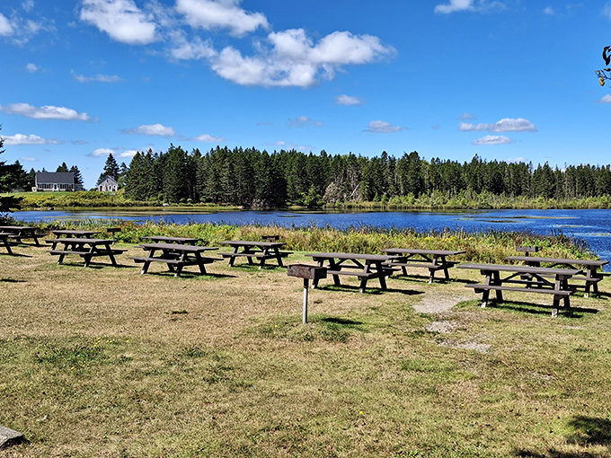 Picnic tables with million-dollar views &ndash; where sandwiches somehow taste better with a side of spectacular scenery.
