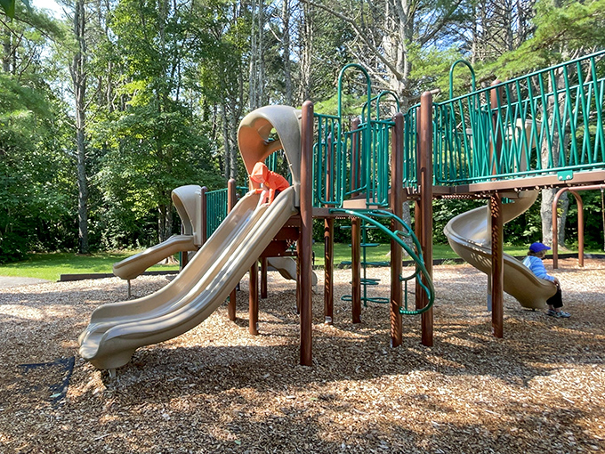 The park's playground offers a perfect energy release for younger visitors, nestled among tall pines that whisper in the coastal breeze.