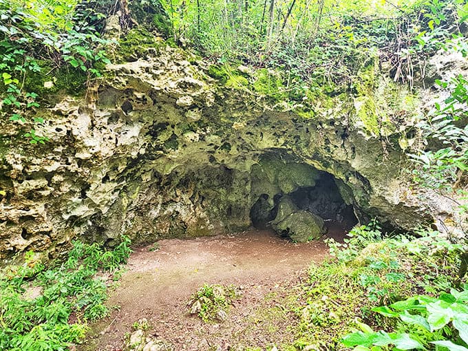 This natural rock shelter has provided refuge for creatures both wild and human for centuries, a limestone lean-to courtesy of Mother Nature.