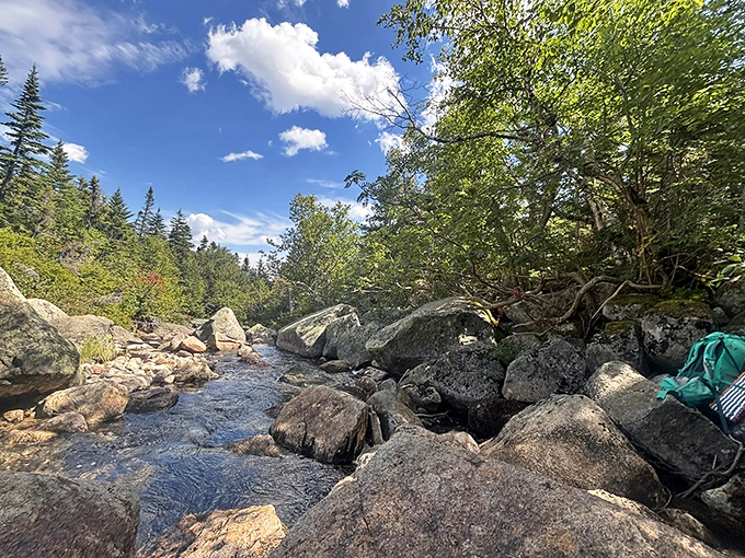 Water dances through ancient rocks, creating nature's symphony that sounds better than any playlist you've carefully curated.