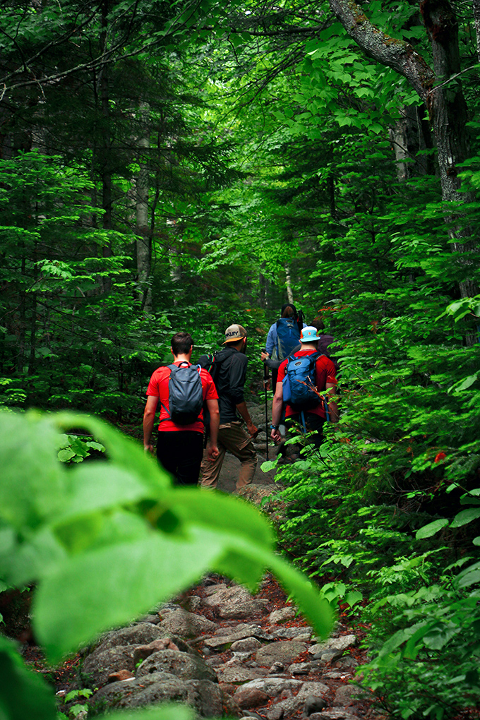 Hikers navigate the well-maintained trail through verdant forest &ndash; the journey itself a feast for senses long before the destination.