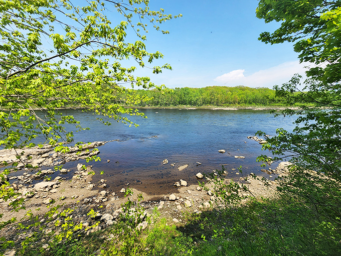 The stunning Penobscot River view that accompanies your meal &ndash; nature's perfect backdrop for seafood feasting.