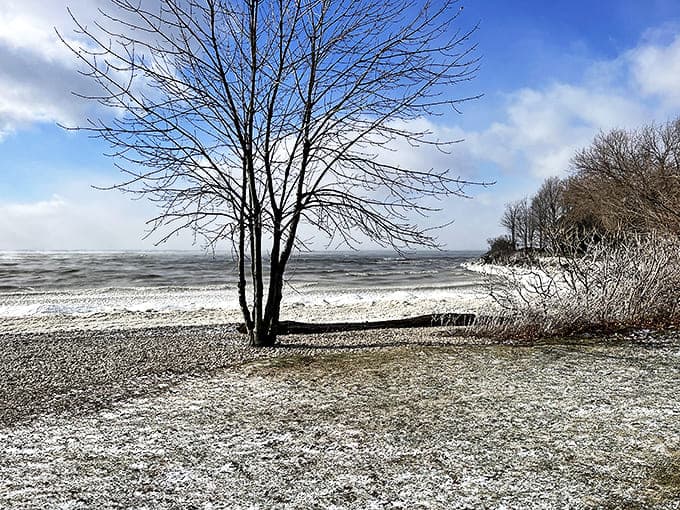Winter transforms Catawba into a hushed wonderland where brave visitors are rewarded with solitude and ice formations that would make sculptors jealous.