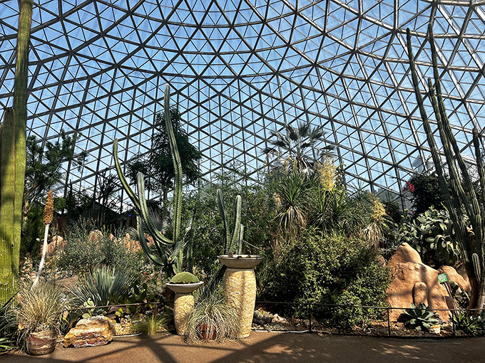 Welcome to the Biodome &ndash; Wisconsin style! These glass bubbles house more climate zones than your weather app.