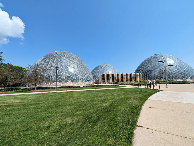 Tropical getaway in the Midwest? These domes are like nature's snow globes, minus the snow and plus a lot of humidity.