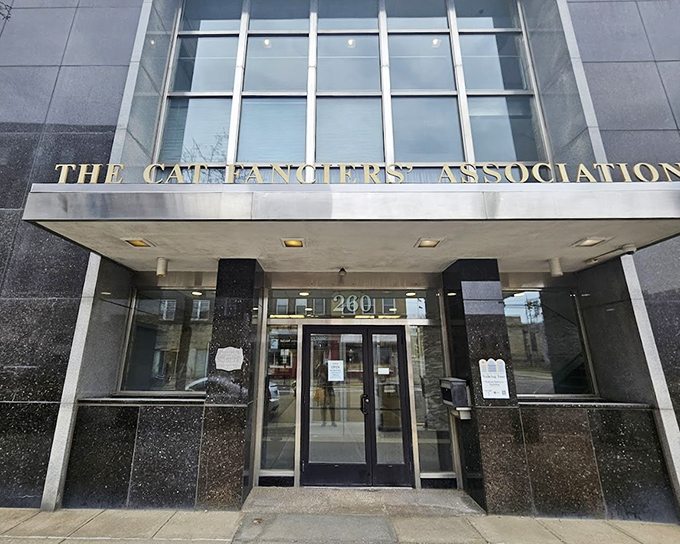 The sleek, contemporary building of The Cat Fanciers' Association provides a home for the Feline Historical Museum, where visitors can discover centuries of cat culture and history.