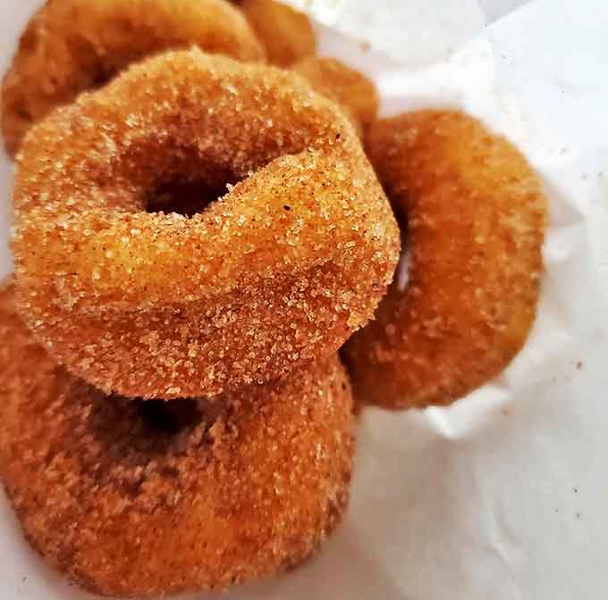 Mini donuts: Cinnamon-sugar perfection in bite-sized form &ndash; weekend freebies that prove good things come in small packages.