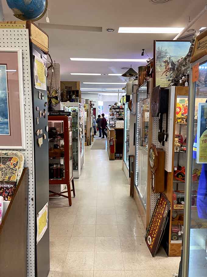 The narrow aisles invite intimate exploration, turning ordinary shopping into a treasure hunt where every turn reveals something unexpectedly delightful.