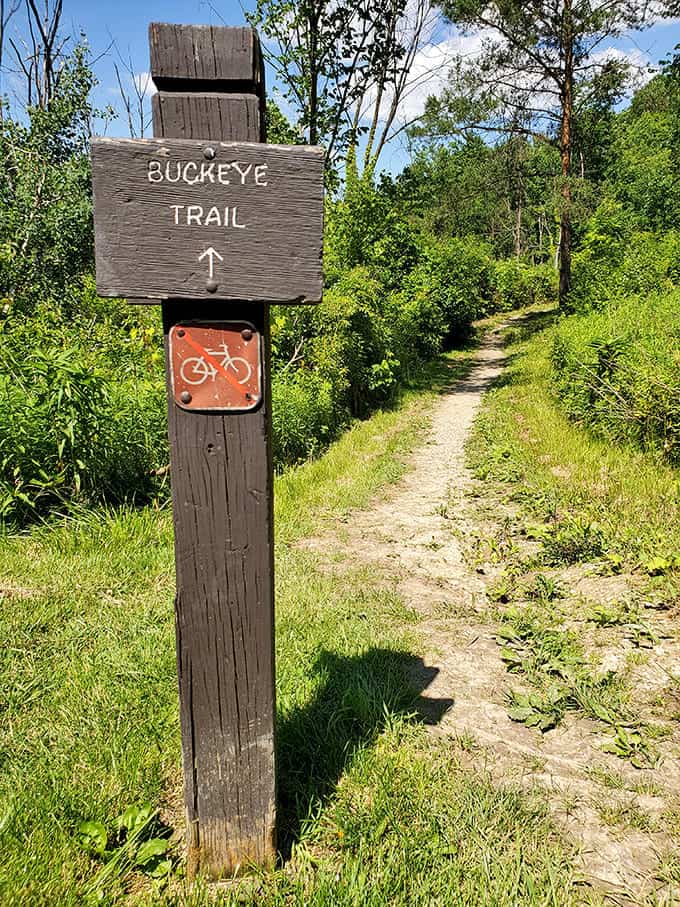 Buckeye Trail Marker: A simple wooden sign points the way, inviting adventurers to discover what lies beyond the next bend.