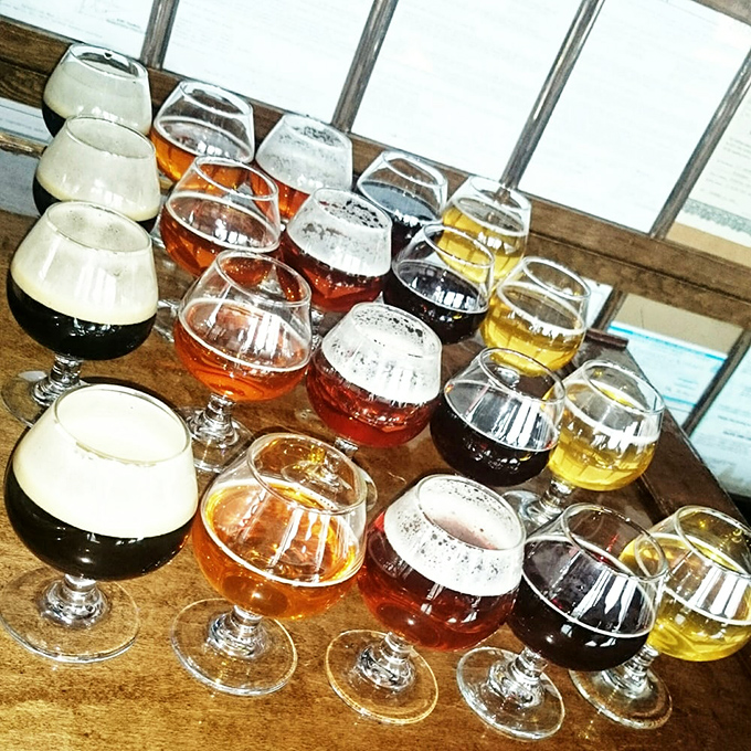Beer flights arranged like a liquid color wheel &ndash; from pale gold to deep mahogany, each glass promising unique flavor adventures.