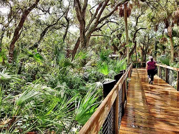 Nature's cathedral: towering palms and ancient oaks create a canopy that filters sunlight into a dance of shadows on this elevated walkway.
