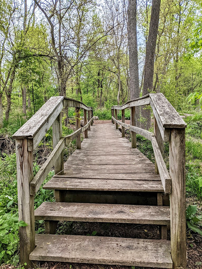 This wooden bridge beckons visitors deeper into the park's artistic wilderness, promising new discoveries around every corner.