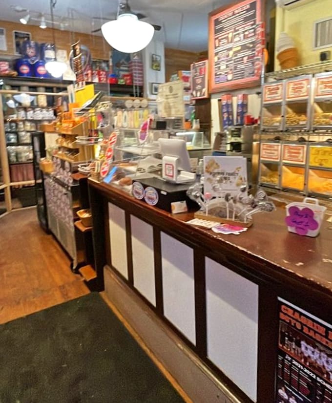 The counter where magic happens and decisions are made, surrounded by enough treats to make every visit feel like a celebration.