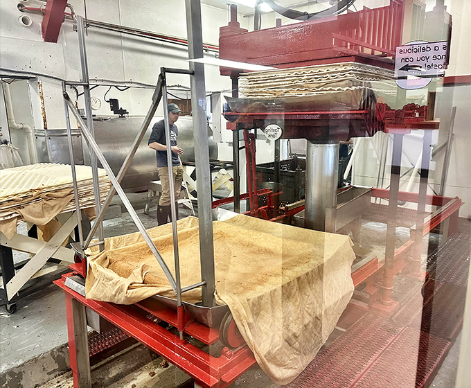 Behind-the-scenes cider alchemy &ndash; where stainless steel meets traditional methods in a space that smells like heaven and sounds like productivity.