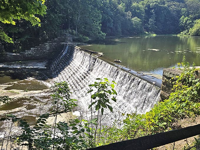 This historic dam creates a picturesque waterfall effect, adding another layer of visual and auditory delight to the park experience.