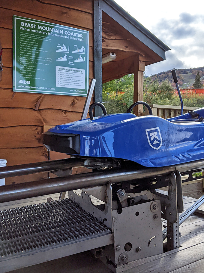 The fine print of fun: coaster instructions remind thrill-seekers that the best adventures come with a dash of responsibility.