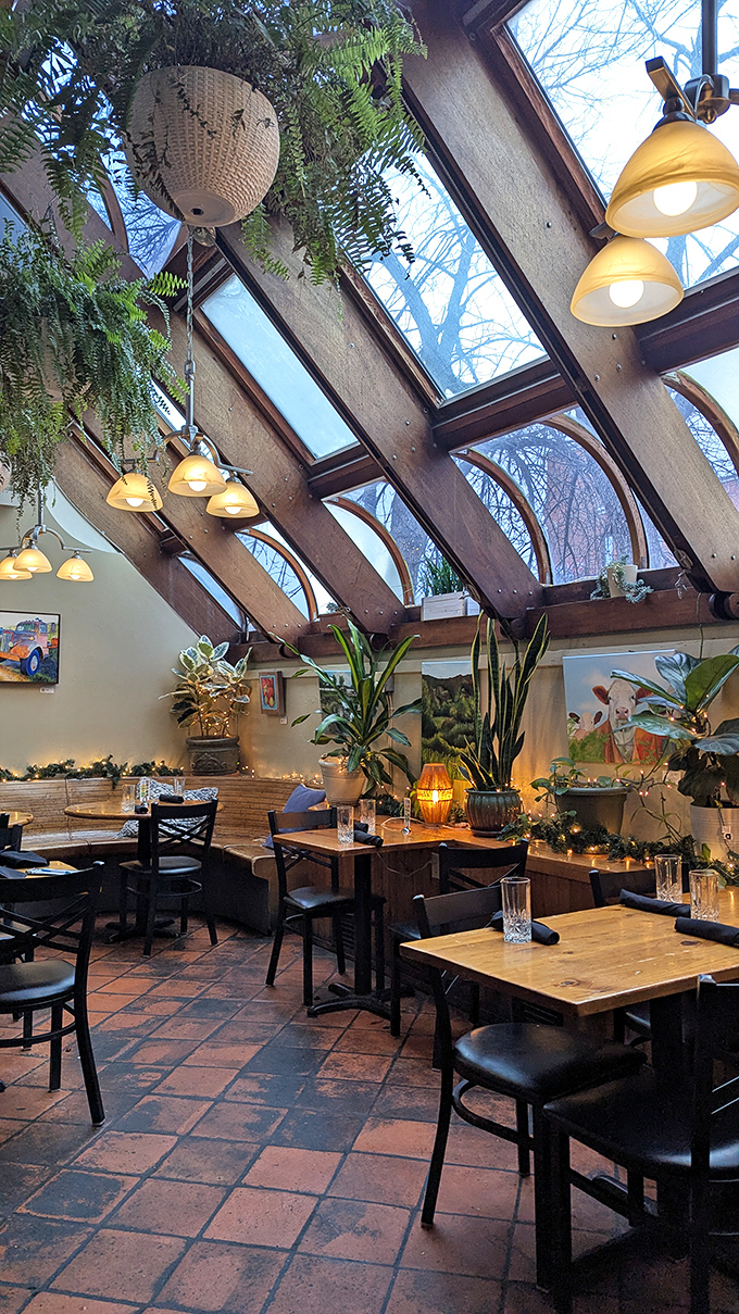 The cozy dining area balances rustic charm with urban sophistication &ndash; hanging plants and warm lighting create an atmosphere that makes you want to linger.