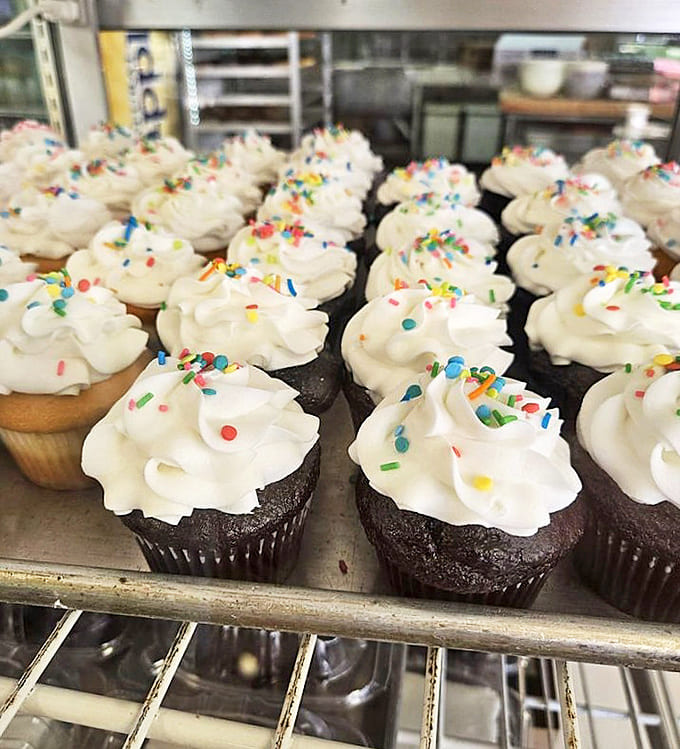 Cupcakes: Chocolate foundations topped with cloud-like swirls of frosting and just enough sprinkles to make your inner child do a happy dance.