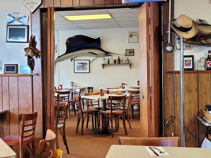 Where every table tells a story, and every story involves someone saying, "I shouldn't... but I will." 