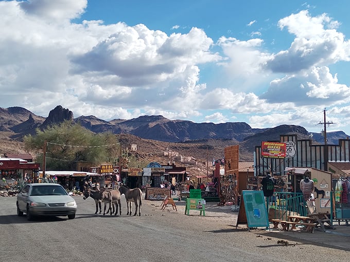Wild burros and passing cars create a timeline collision on Oatman's main drag, where past and present mingle daily.