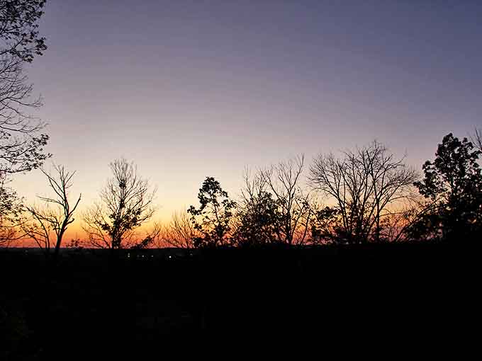 Twilight transforms bare branches into nature's calligraphy against a watercolor sky, the day's final brushstrokes before nightfall.