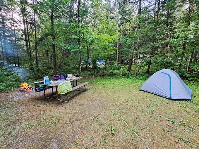 The perfect campsite equation: one tent + one picnic table + acres of wilderness = the vacation your soul didn't know it needed.