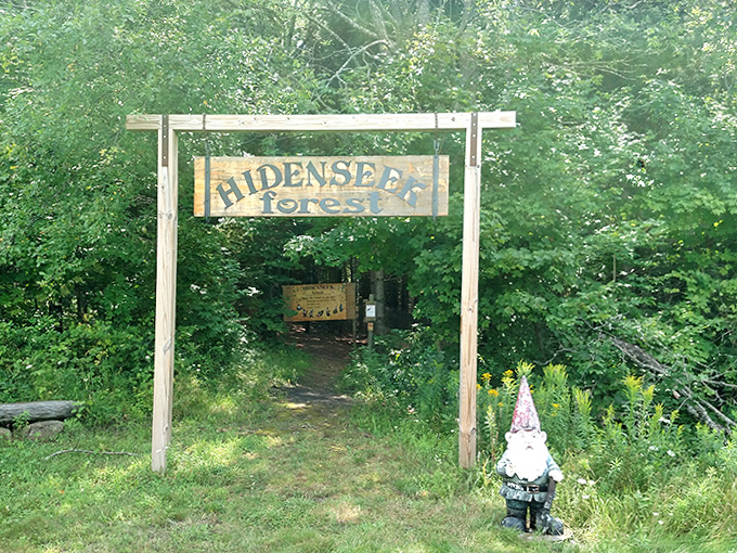 The Hiddens&eacute;ek Forest entrance beckons with mysterious charm, promising a different kind of "where am I?" experience among the trees.