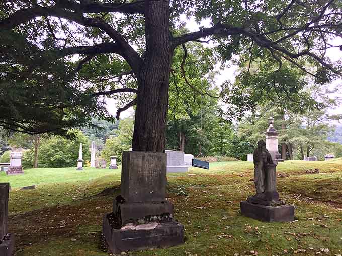 A gravestone nestled beneath a massive tree creates a scene straight out of a gothic novel, nature and memory intertwined in perfect harmony.
