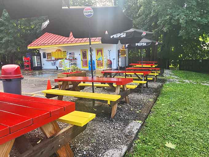 Colorful picnic tables under the trees where summer meals become memories and strangers become friends over shared food enthusiasm.