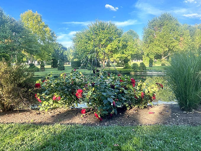 Vibrant blooms explode with color, proving that Mother Nature might have been the original impressionist painter all along.