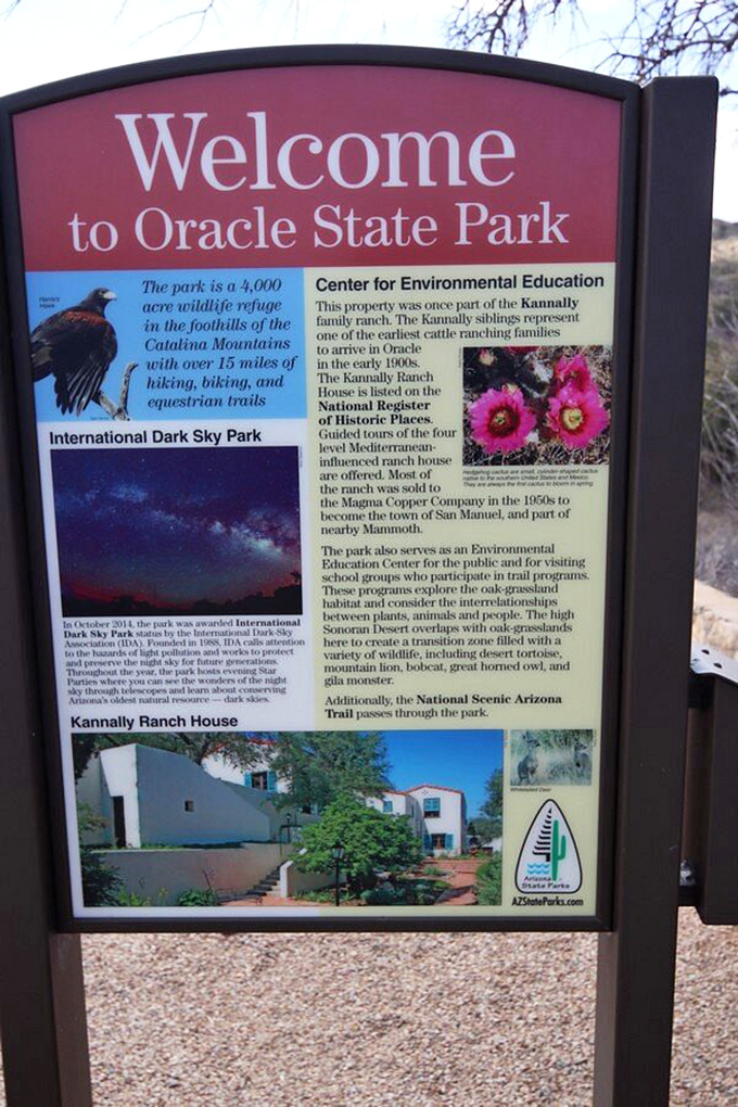 The welcome sign reveals Oracle's impressive credentials: wildlife refuge, dark sky park, and historic site all rolled into one spectacular package.