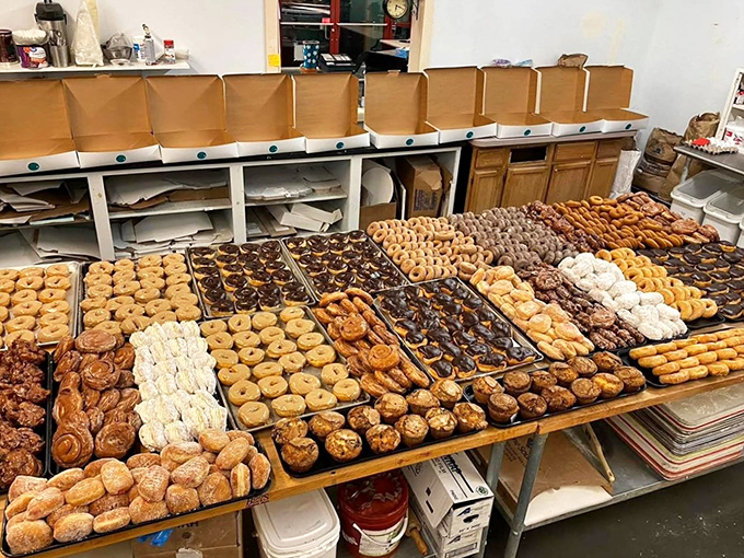 Donut heaven awaits! This impressive spread showcases the variety that makes choosing just one nearly impossible.