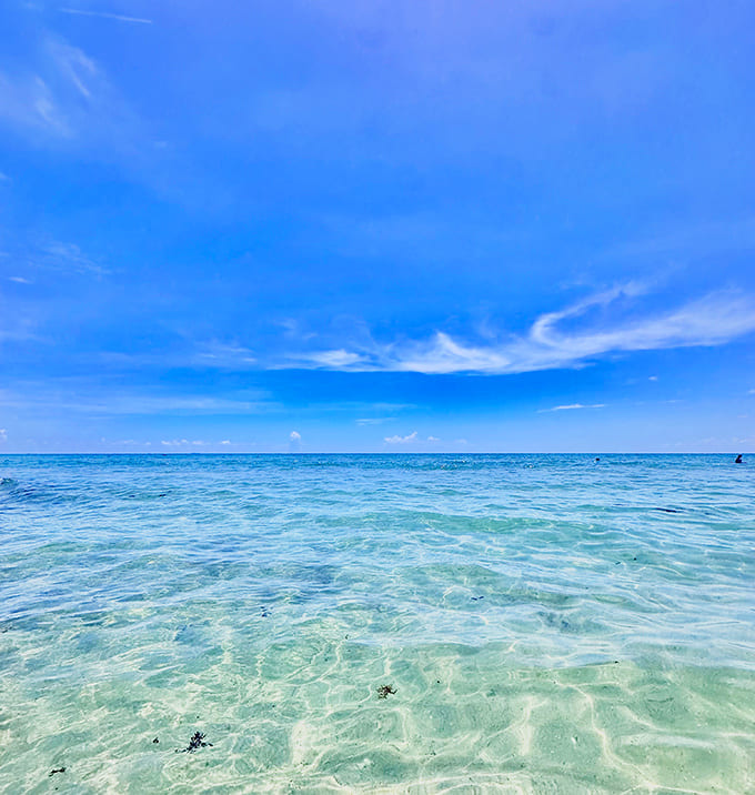Water so impossibly blue it looks Photoshopped, but it's just another Tuesday in paradise. The kind of clarity that reveals life's simple truths.