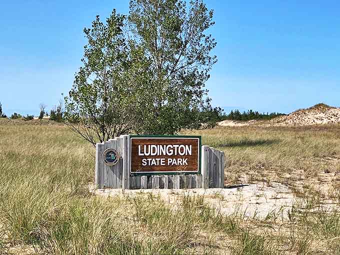 The wooden welcome sign stands like a promise of adventure, marking the threshold between ordinary life and natural wonder.