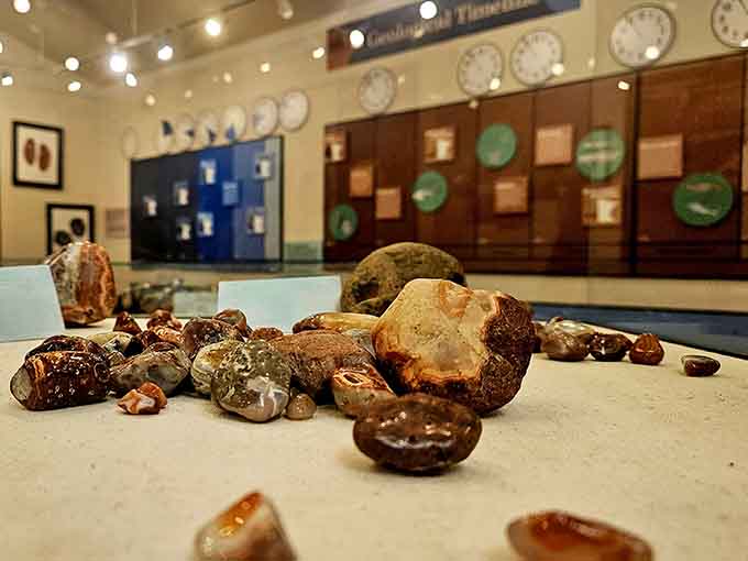 Up close, the banding patterns in these agates reveal the incredible artistry of geological processes and time.