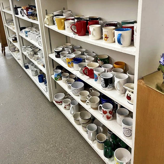 A battalion of mugs stands ready for duty, each with its own personality and questionable slogan from vacations past.