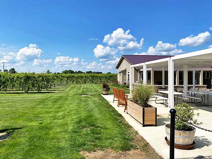 Outdoor Vineyard: Ohio's answer to Napa Valley offers surprising sips in a setting where grapevines thrive under Midwestern skies.