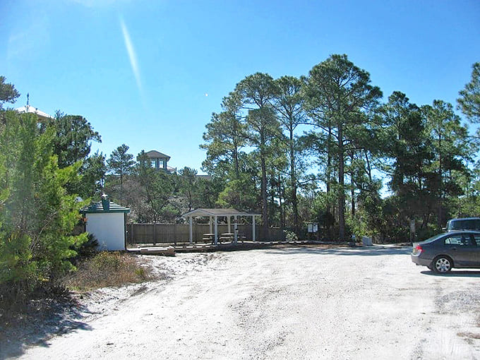 This unassuming parking area is the gateway to one of Florida's most spectacular natural treasures.
