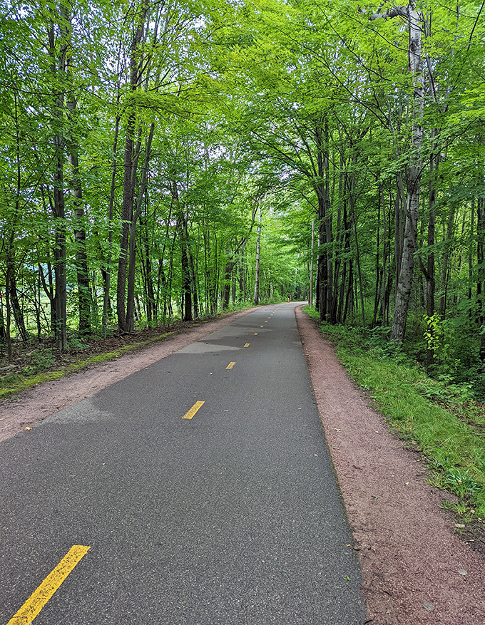 The paved forest trail features a double yellow centerline, transforming a former railway into a cyclist's dream route.