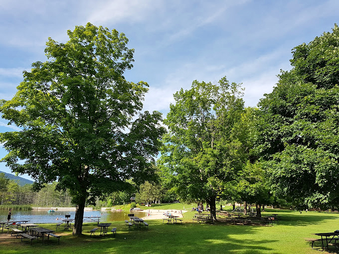 Shaded picnic tables scattered like chess pieces under majestic maples&mdash;nature's perfect dining room.