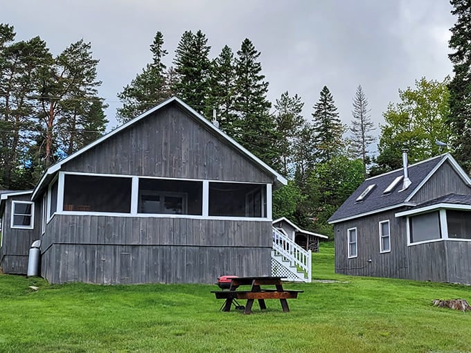 Hunter Cove Camps offers that classic Maine lakeside experience where the biggest decision is swimming or napping first.