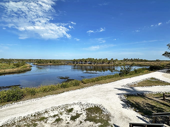 Water meets wilderness in this pristine wetland vista &ndash; where birds fish, fish jump, and humans finally remember to look up.