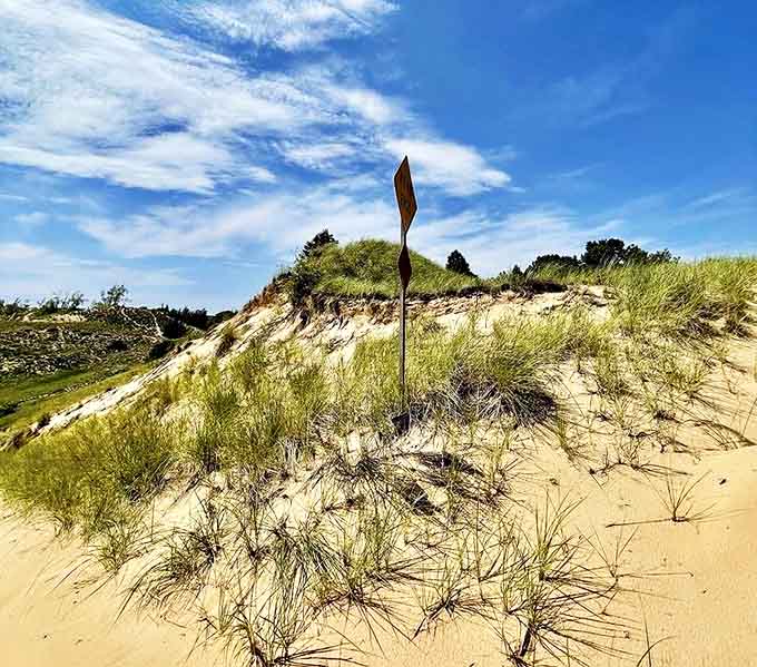 That "10 MPH" sign is adorably optimistic, considering you're about to experience speeds that feel much faster when you're careening down a near-vertical sand wall.